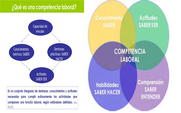 competencia laboral ESEM